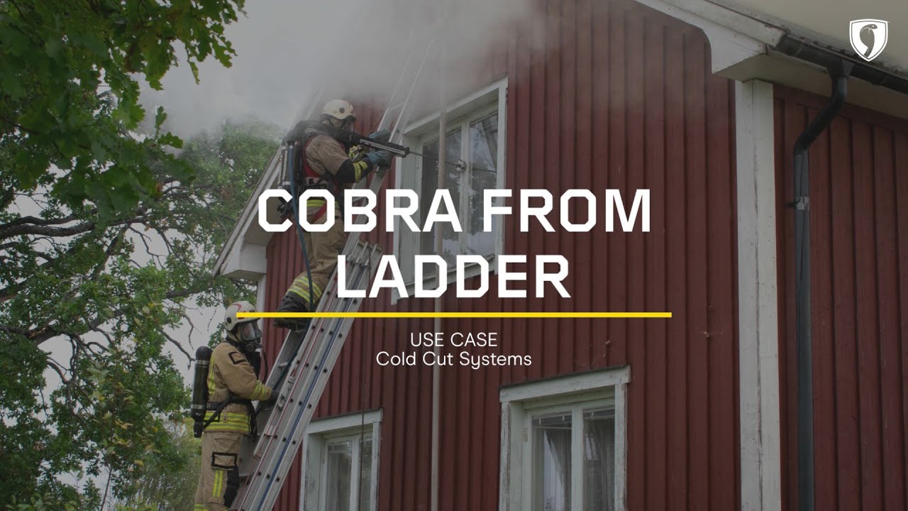 Cobra From Ladder - YouTube
