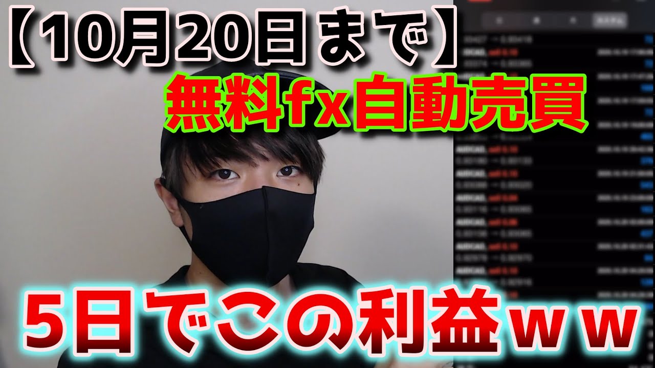 #3【検証】たった5日で割と利益が出た件ww【fx自動売買】 - YouTube