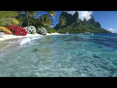 FOCUS 🌴 Mount Otemanu Bora Bora Vibe Ocean Sounds |  Sleep Study • Focus | 12h 4K