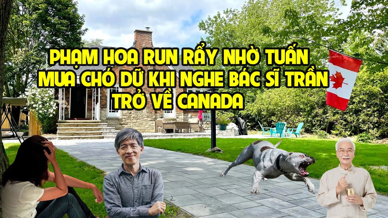 A821 - PHẠM HOA RUN RẨY NHỜ TUẤN MUA CHÓ DỮ KHI NGHE TIN BÁC SĨ TRẦN ...