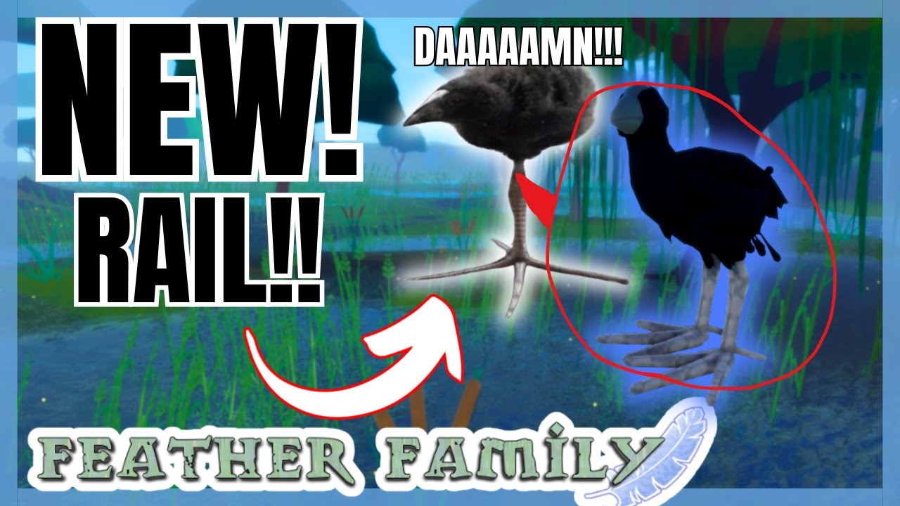 The RAIL BIRD (DAMN BIRD) IS HERE IN FEATHER FAMILY!!! 🦆 - YouTube