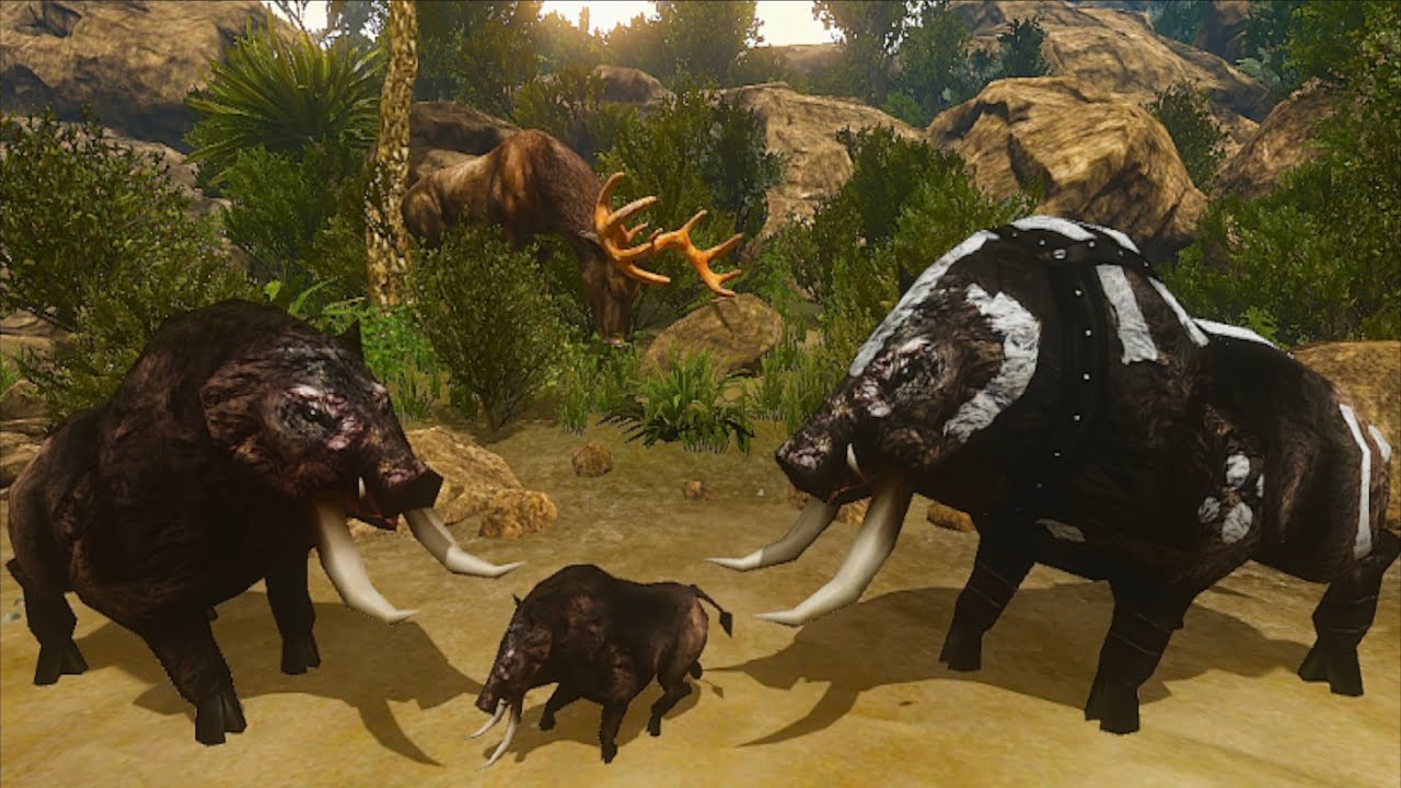 Boar King Life Simulator - YouTube