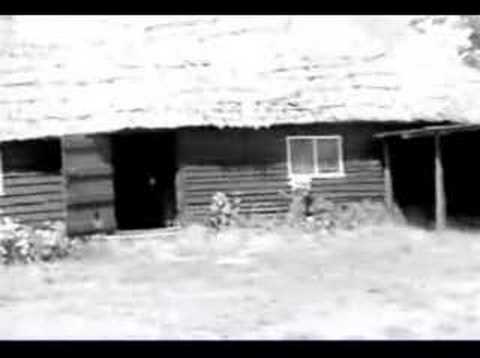 Ping Wings - YouTube