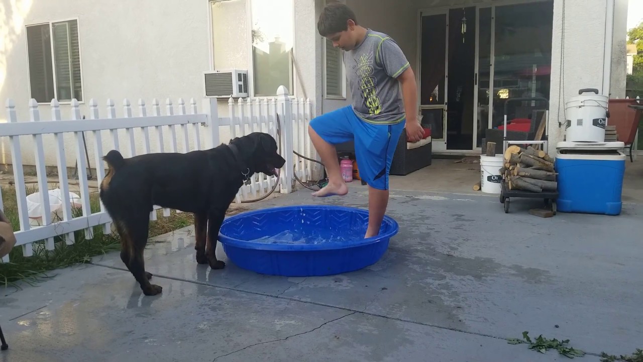 MACHO VLOG 9: CATCHING BUBBLES - YouTube