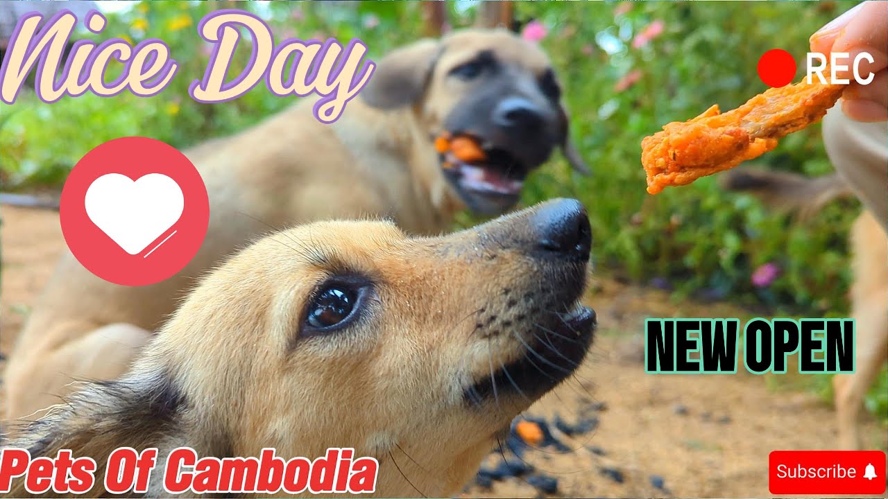 Yummy Eating With Abern Aben Adong:Episode 14 - YouTube