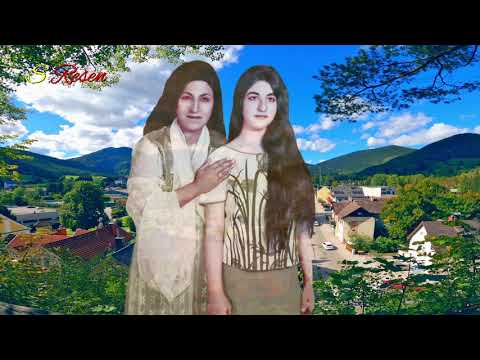 Nesrîn Şerwan Stirana-Nadir Begê 4K نەسرین شێروان سترانا-نادر بەگێ