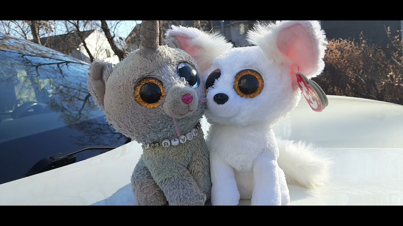 Somebody That I Used to Know Beanie Boo music video - YouTube