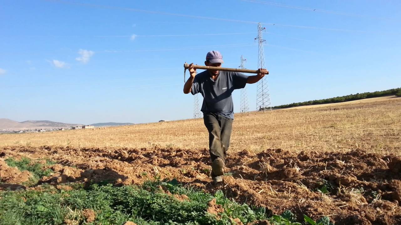 Dance gasba - YouTube