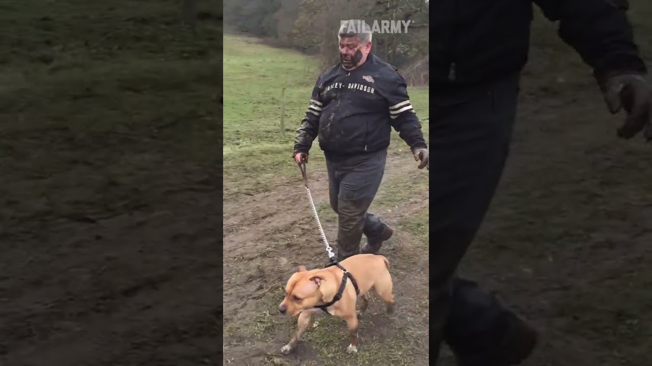 Dog vs man - YouTube