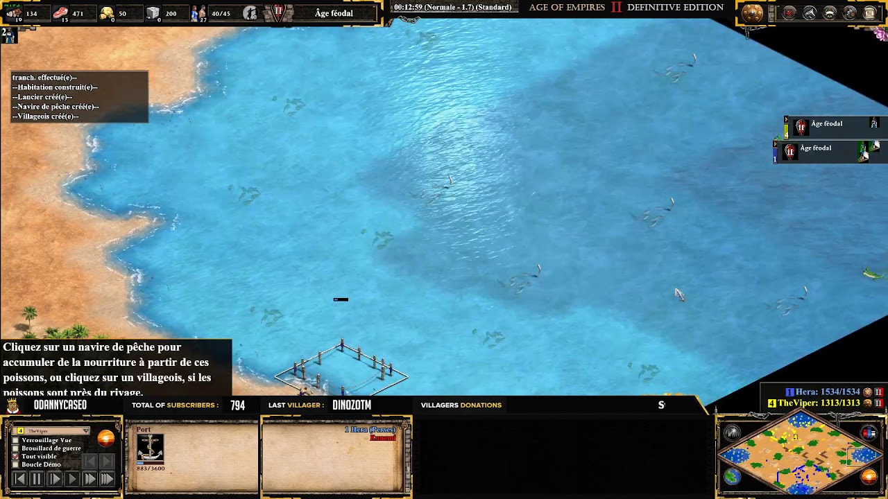 AoE 2: Définitive Edition - EXPERT PLAYERS ! THE VIPER VS HERA - MAP ...