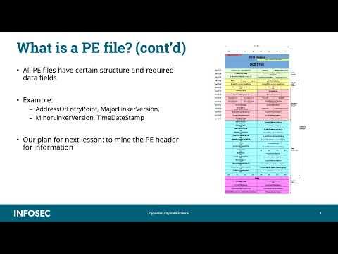 12 - Understanding the PE Header - Delving into The Structure of PE File (Infosec Skills) - YouTube