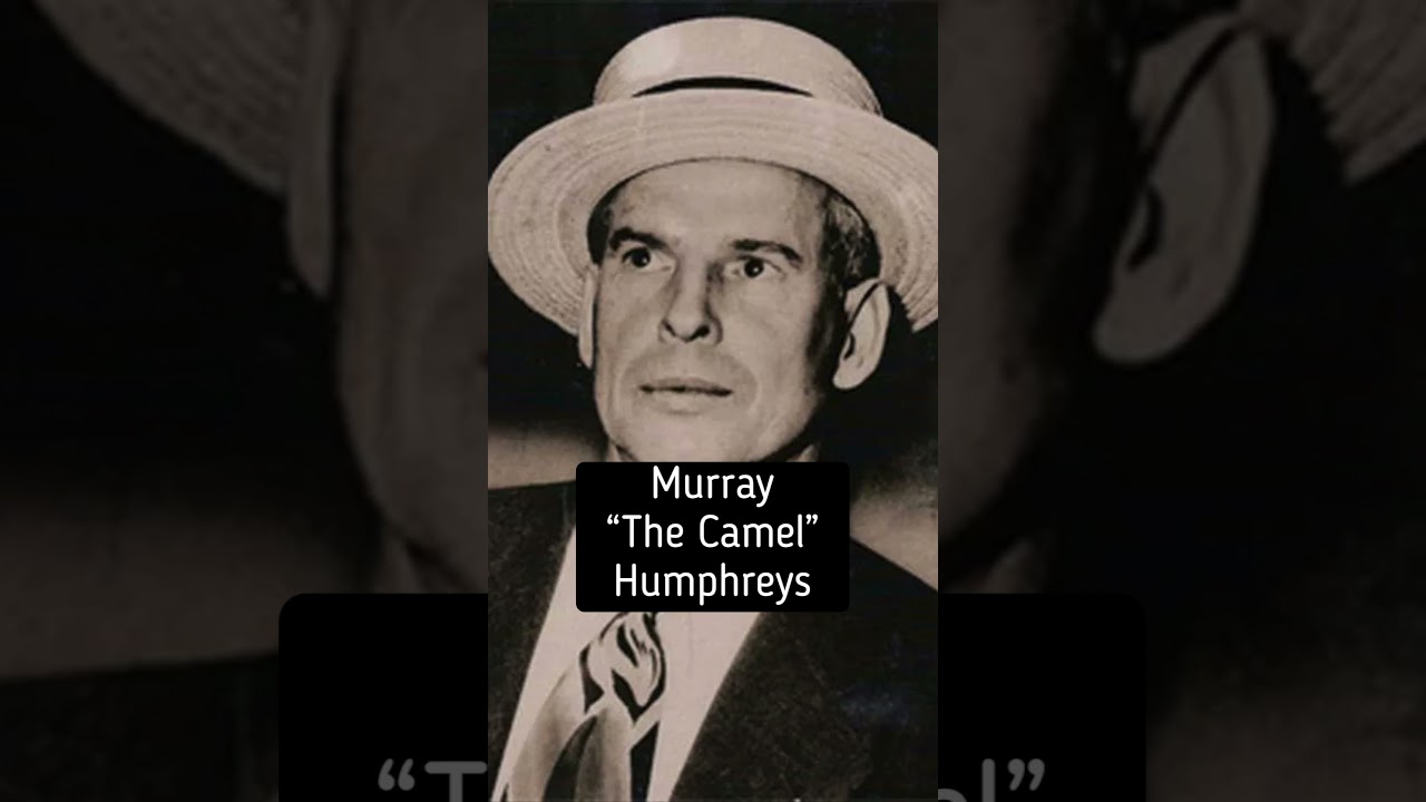 Murray The Camel Humphreys