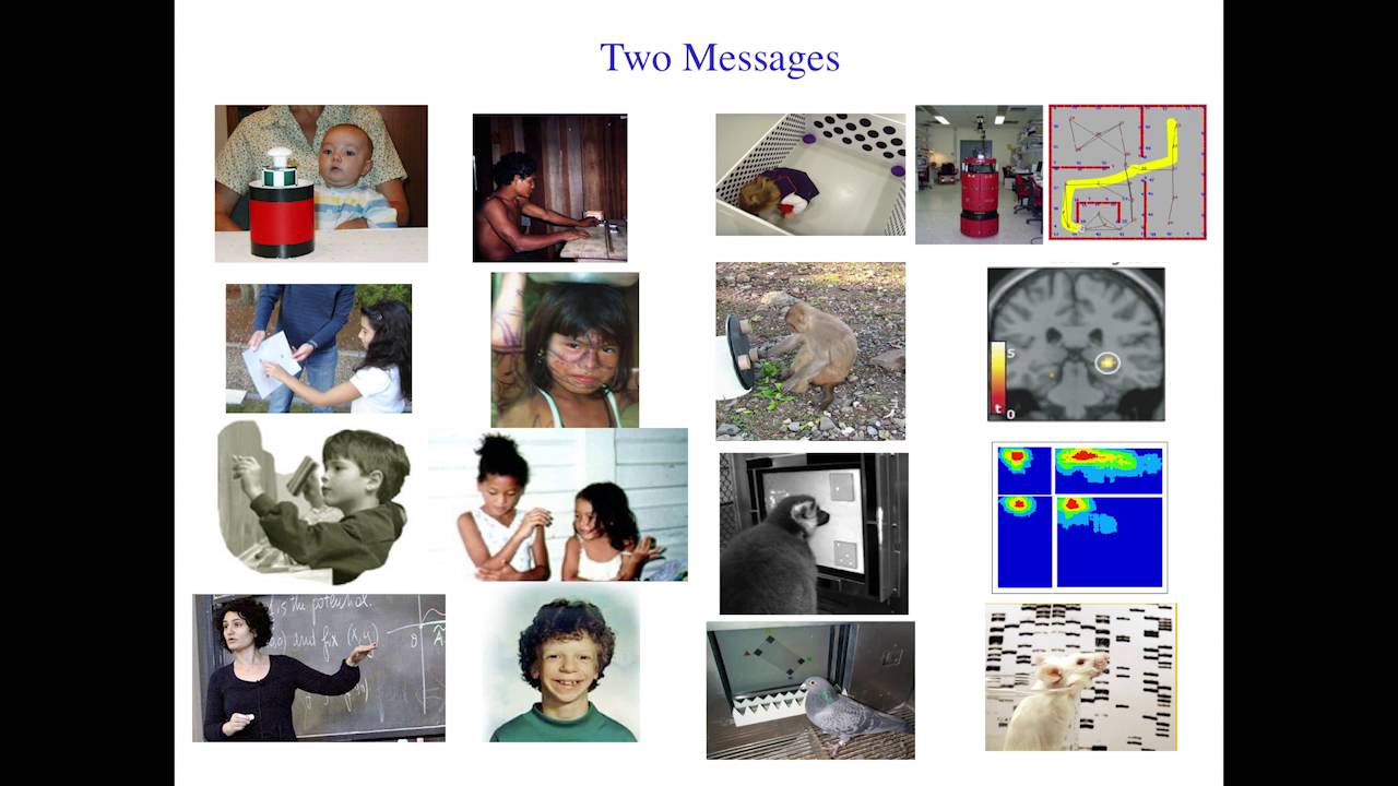 Elizabeth Spelke: Core knowledge and the development of human belief ...