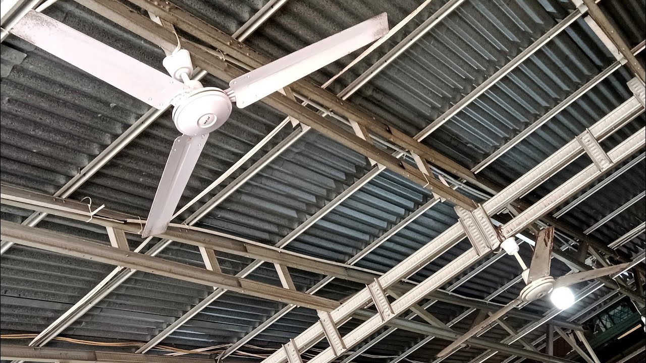 Sekai & HTC industrial ceiling fans | Shorts - YouTube