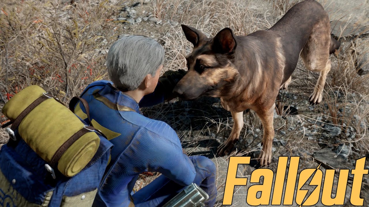 The Dog From The Fallout TV Show in Fallout 4 - YouTube