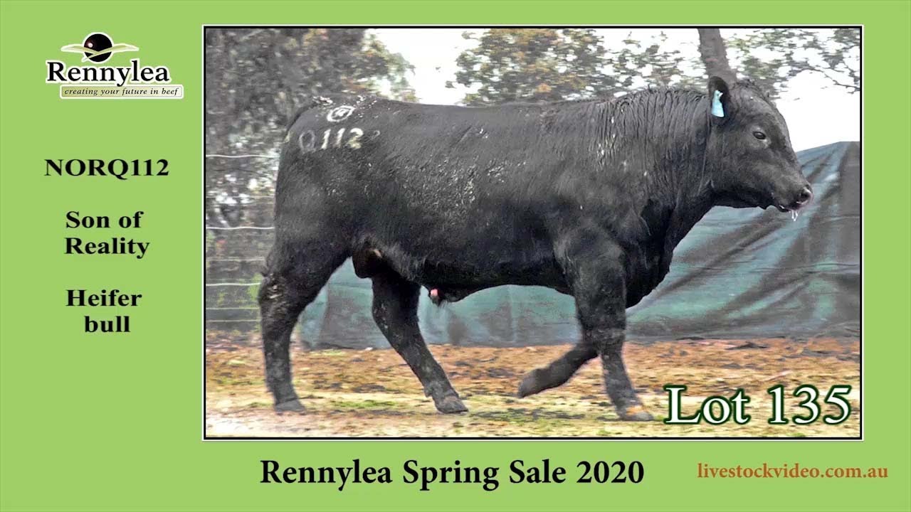 Lot 135 Rennylea Spring 2020 - YouTube