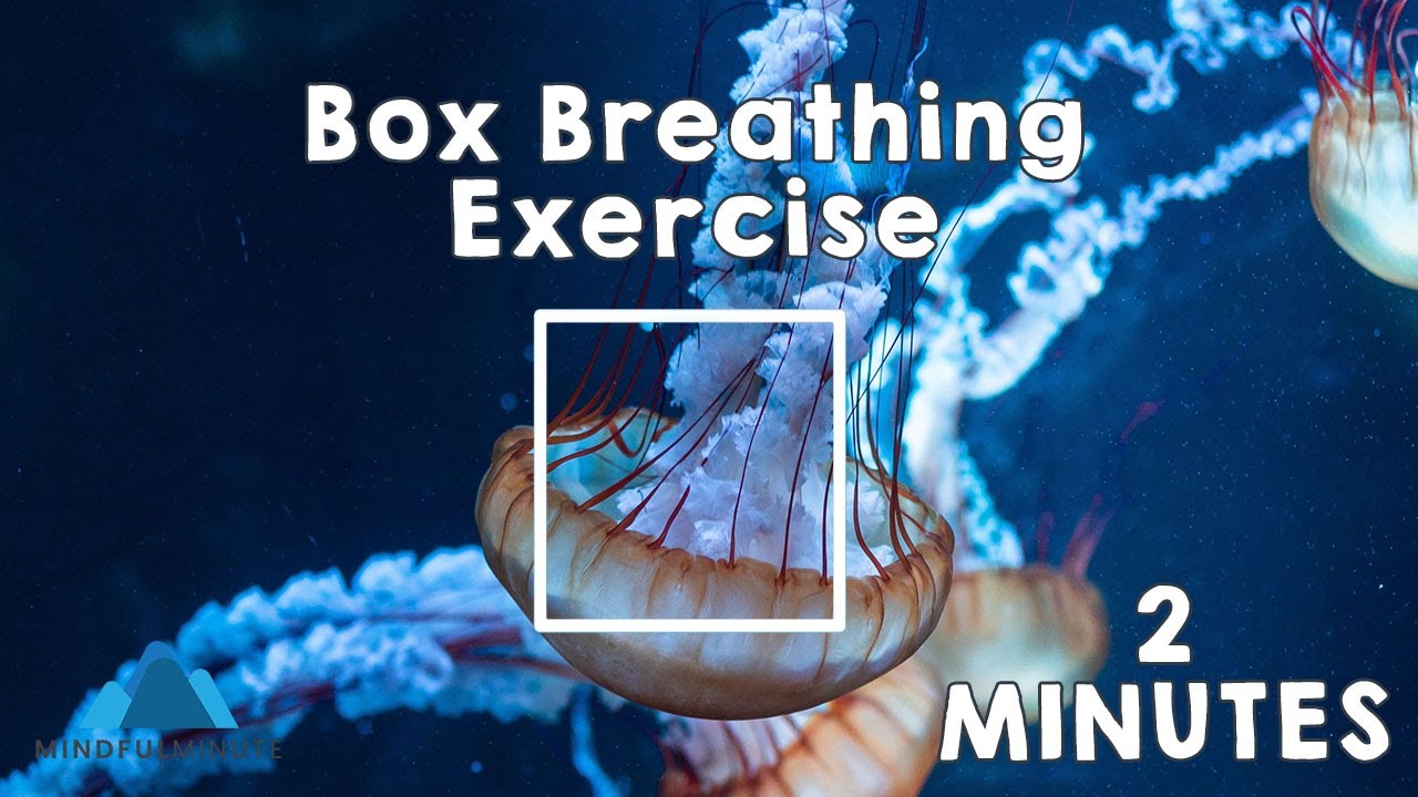 2 Minutes Box Breathing | Breathing Exercise | Anxiety Relief | Mindful ...