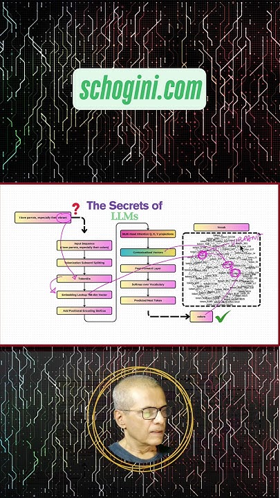 Easy LLM Part-1: Interactive Transformer Embeddings & Positional Encoding! - YouTube