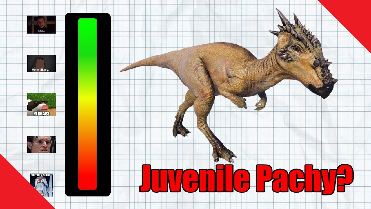 Dracorex Stygimoloch Pachycephalosaurus