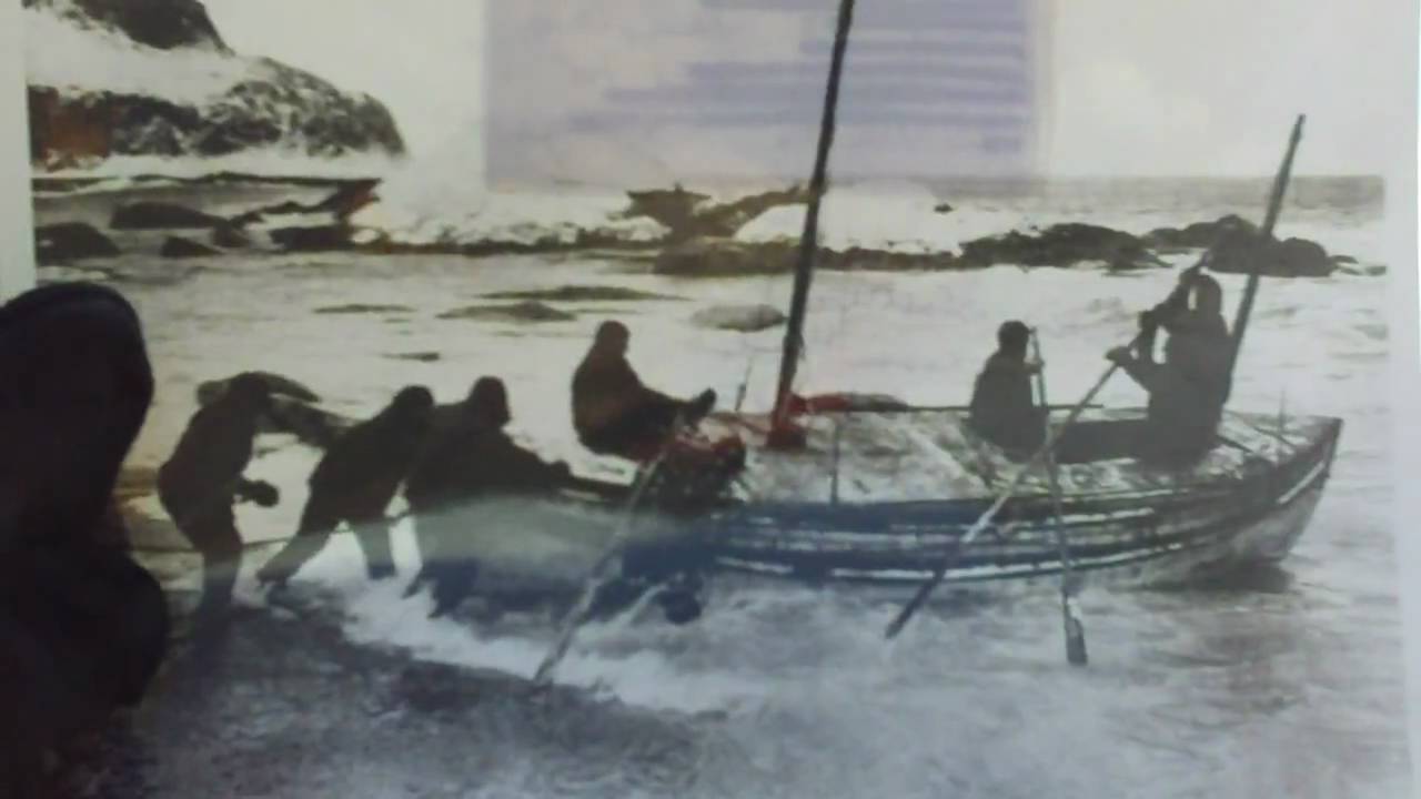 Shackleton's Point Wild @ Elephant Island - YouTube