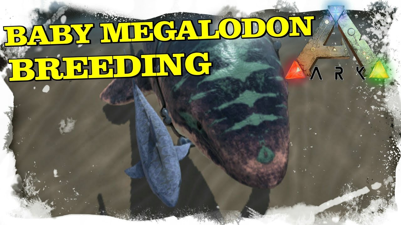 ARK SURVIVAL EVOLVED - MEGALODON BABY BREEDING [OCEAN BREEDING MOD ...