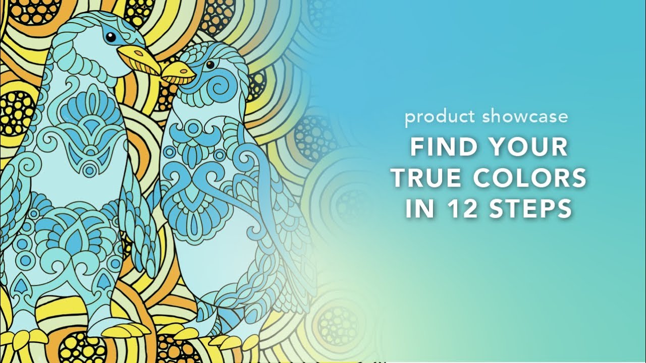 Product Showcase: Find Your True Colors In 12 Steps - YouTube