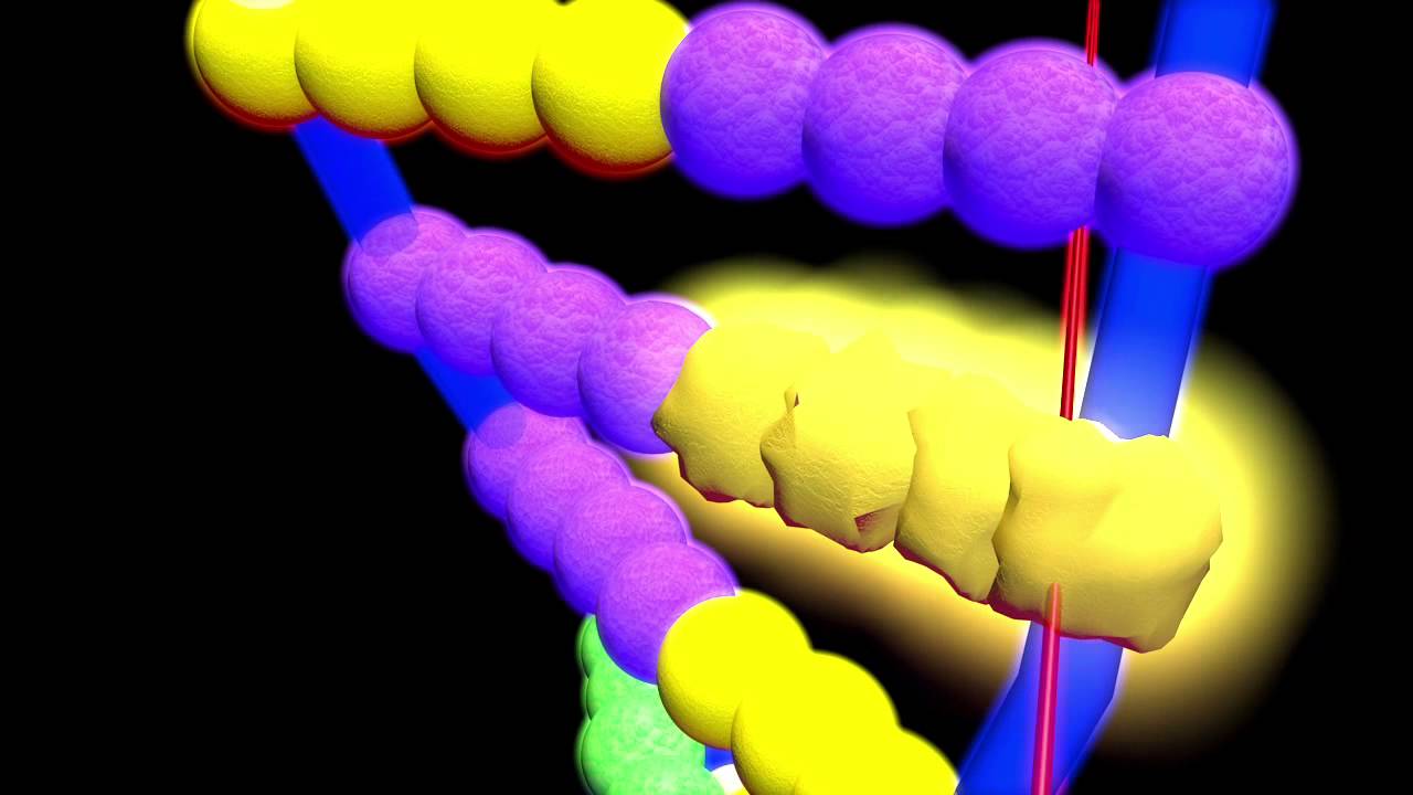 Megan Jewell _ DNA - YouTube