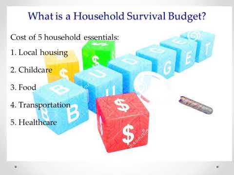 Asset Limited, Income Constrained, Employed [ALICE] - YouTube