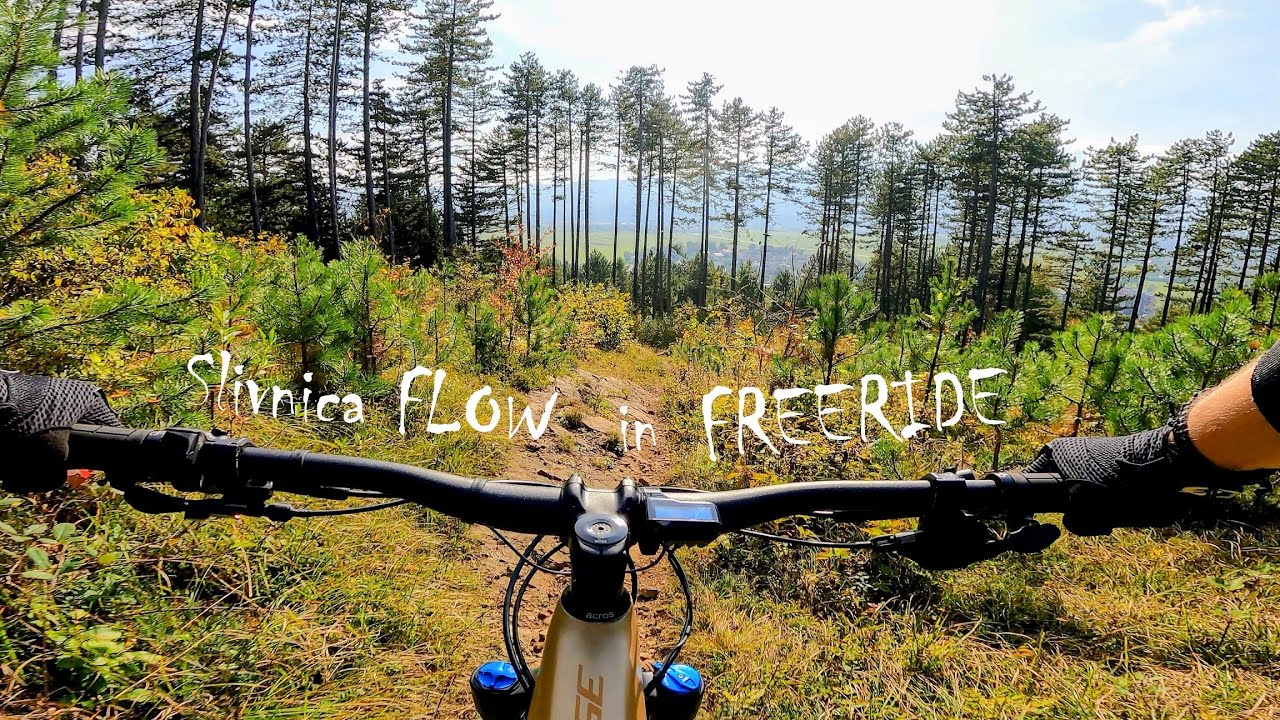 MTB Slivnica FLOW + FREERIDE - YouTube