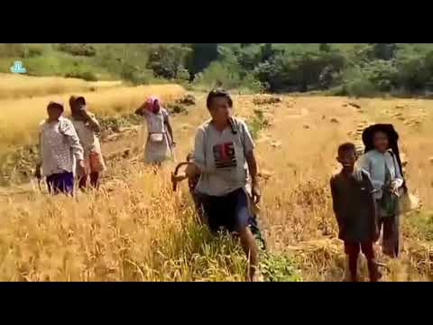 Mama gaul gezu Kotakeo