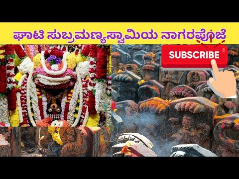 ನಾಗರಪುಜೆ ದಿನ ಶ್ರೀ ಘಾಟಿಯಲ್ಲಿ.,🚩🚩.SS GHATI SUBRAMANYA TEMPLE - YouTube
