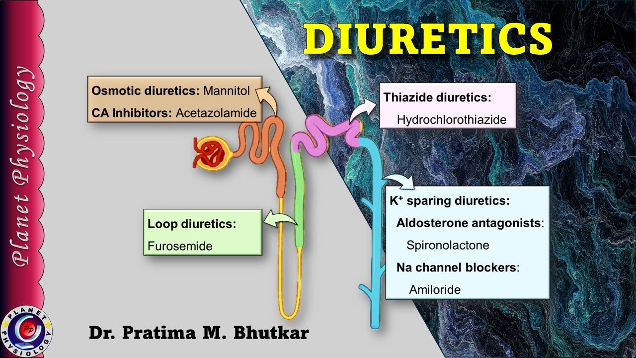 Diuretics: Types, Uses & Mechanism of Action - YouTube