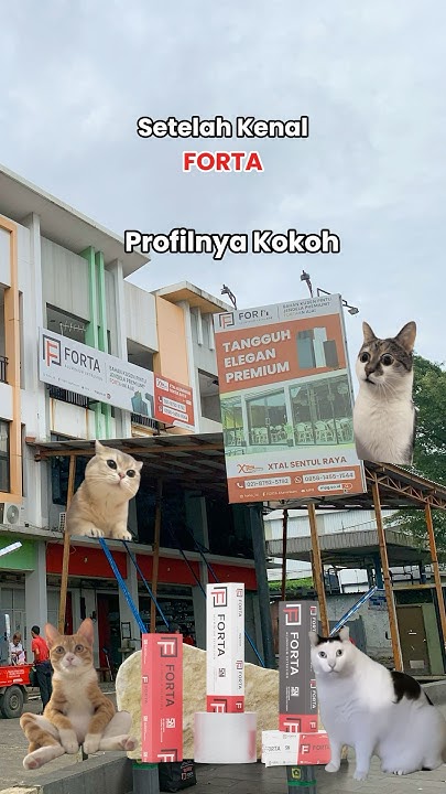 Perbandingan Sebelum dan Setelah Kenal FORTA☺️ - YouTube