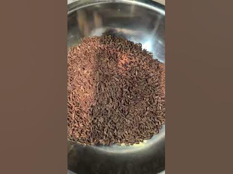 Рис Девзира «Кора Килтирик» 👌 - YouTube