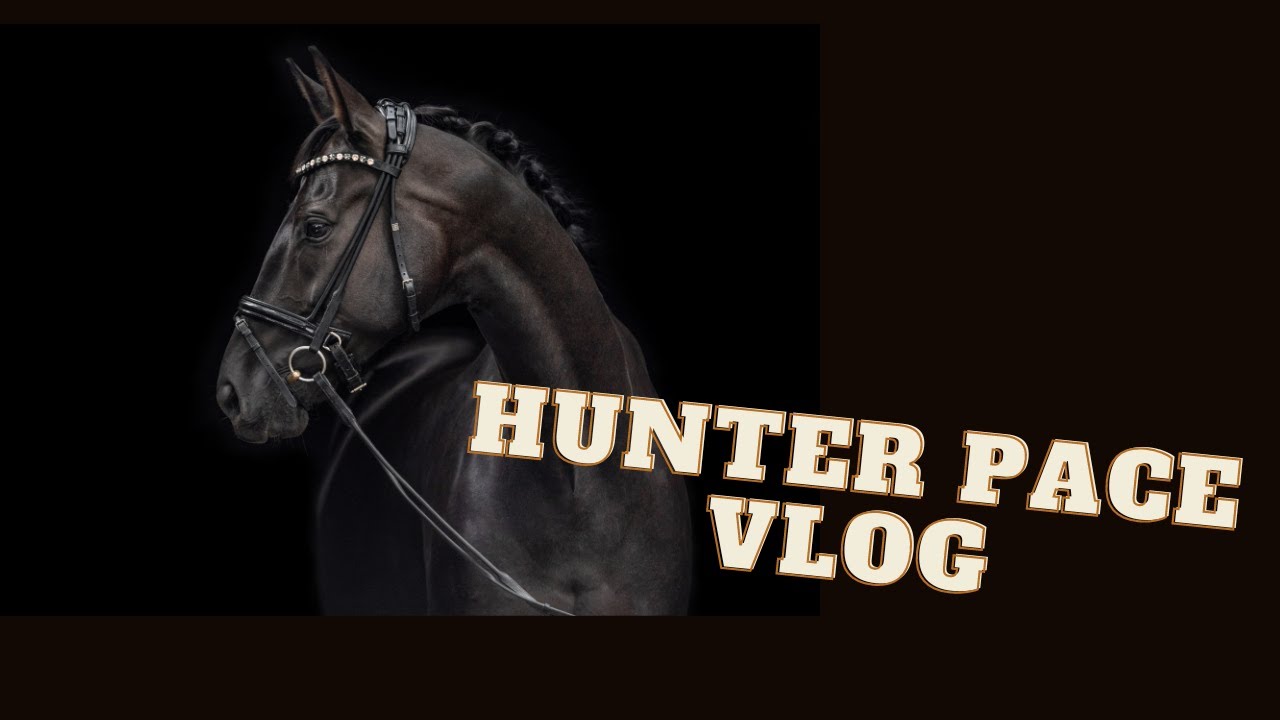 Hunter Pace Show Vlog with Excalibur - YouTube