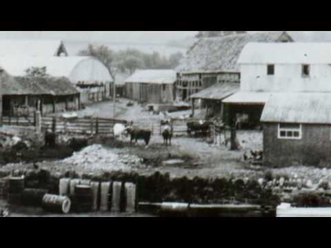 Ann Breen ~ The Fields Of Athenry