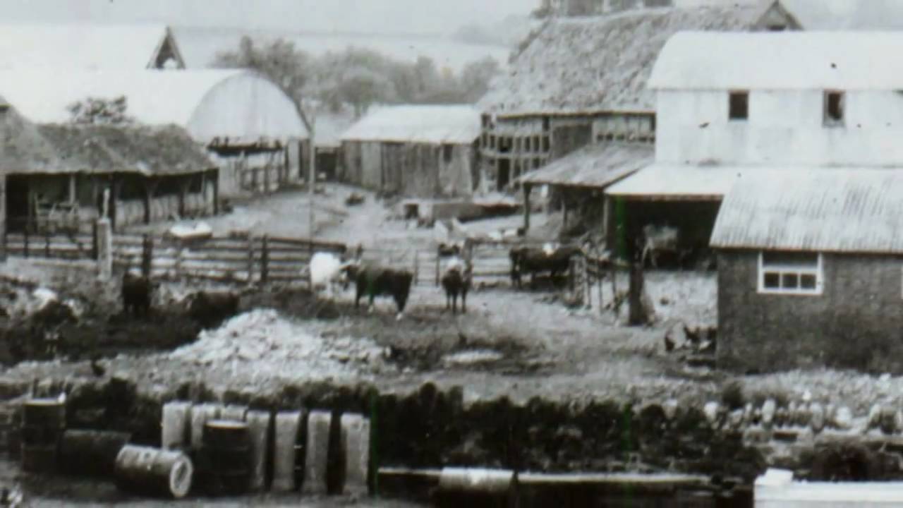 Ann Breen ~ The Fields Of Athenry - YouTube