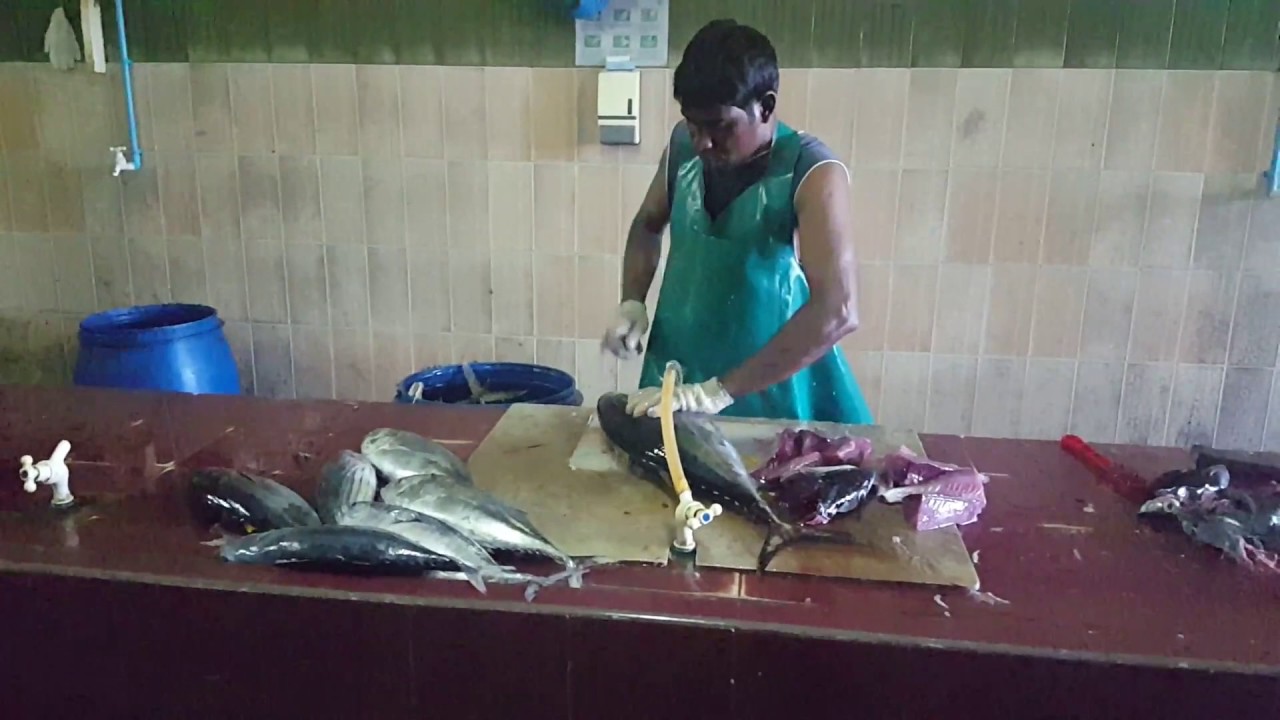 An expert fish butcher in maldives - YouTube
