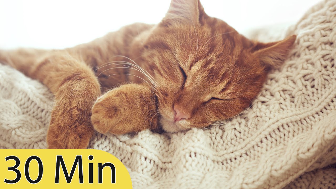 30 Minute Deep Sleep Music Peaceful Music Meditation Music Sleep