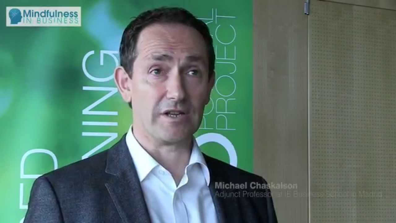 Michael Chaskalson. Adjunct Professor at IE Business School in Madrid ...