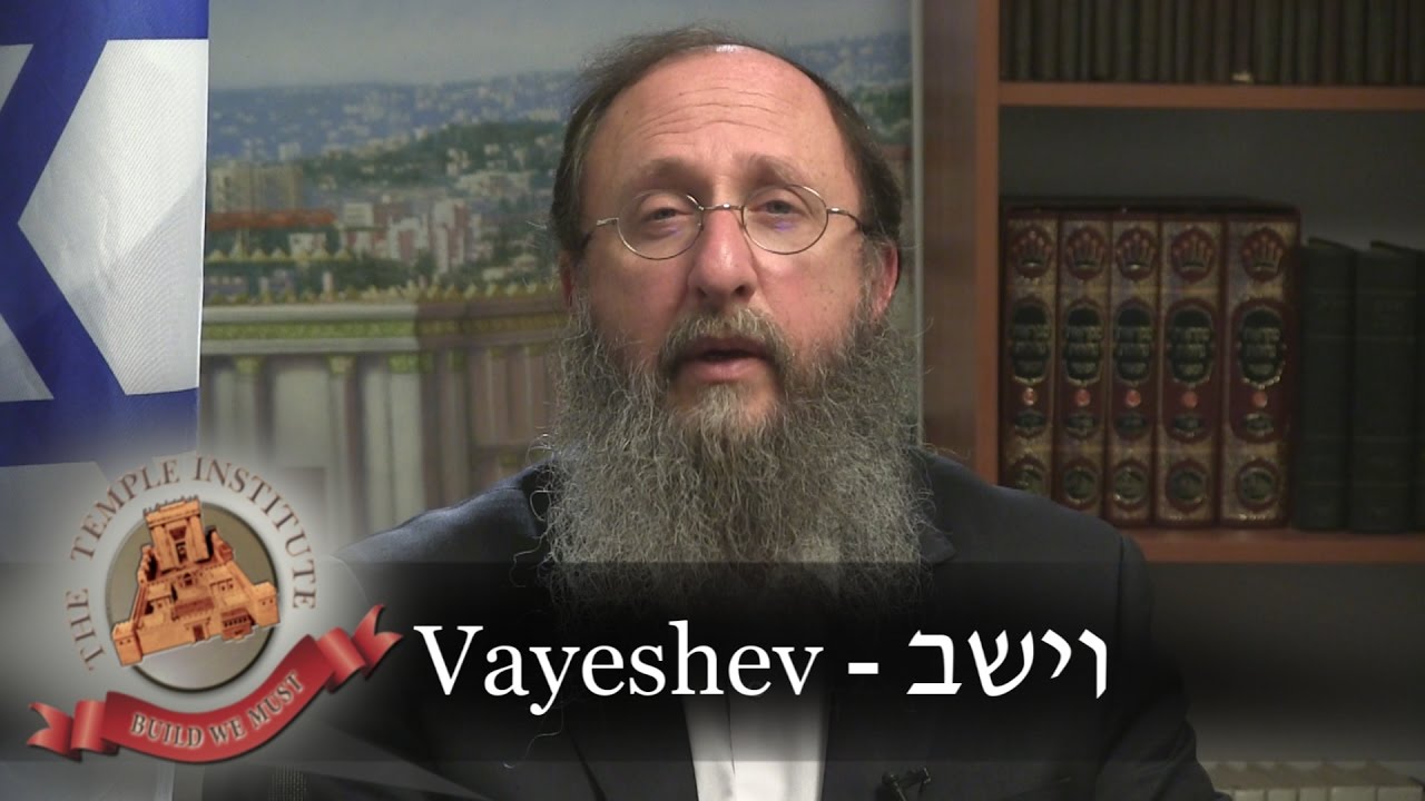 Weekly Torah Portion: Vayeshev and a Message for Chanukah - YouTube