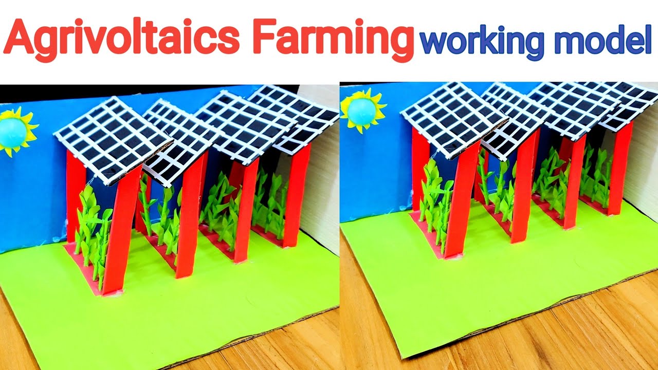 Agrivoltaics Farming System Working Model - integrated agriculture ...