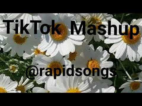 TikTok Mashup @rapidsongs❤