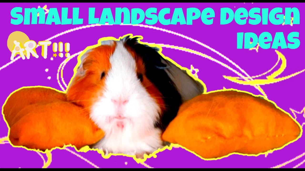 Small Landscape Design Ideas with Bibi | Guinea Pig - YouTube