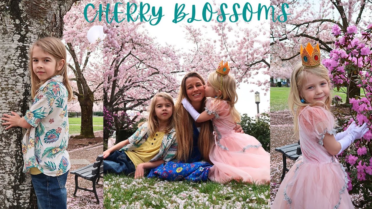 Cherry Blossoms Oregon State Capitol 2024 - YouTube