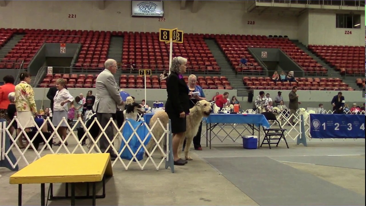 May 26 & 27 2018 Owner Handler Group Monroe LA - YouTube