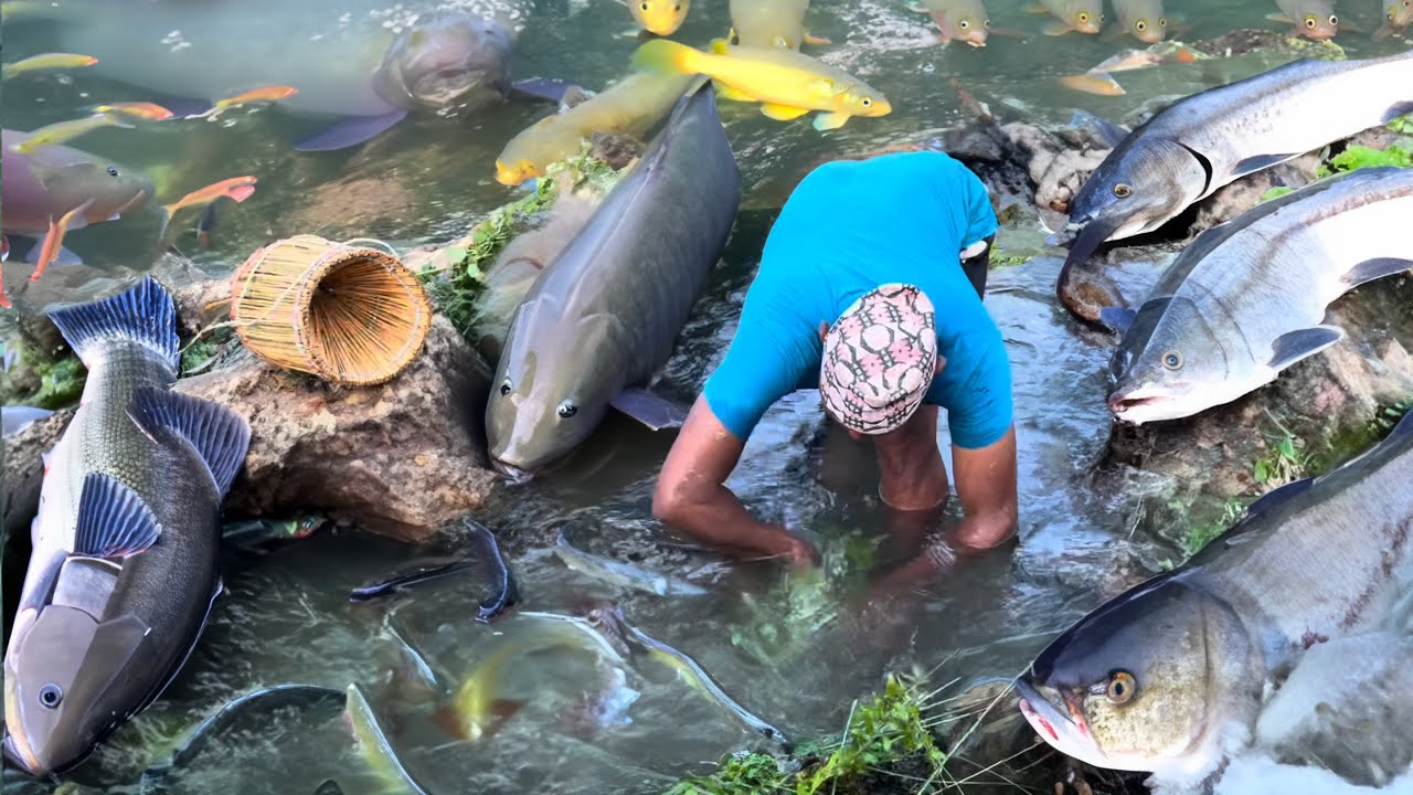 माछा RIVER FISHING VIDEO Traditional Fishing By Village People Fishing ...