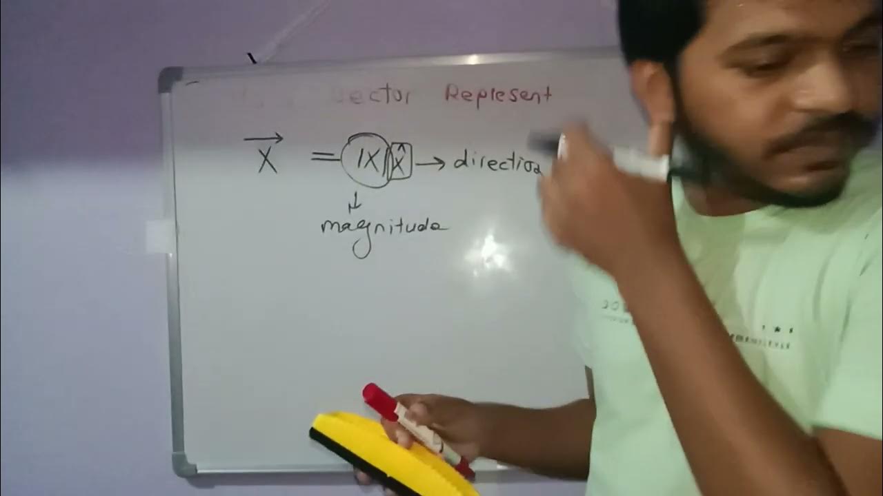 vector lecture 1 || by pal - YouTube