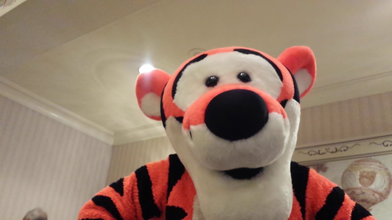 Tigger Saying Hello to Denise at 1900 Park Fare - YouTube