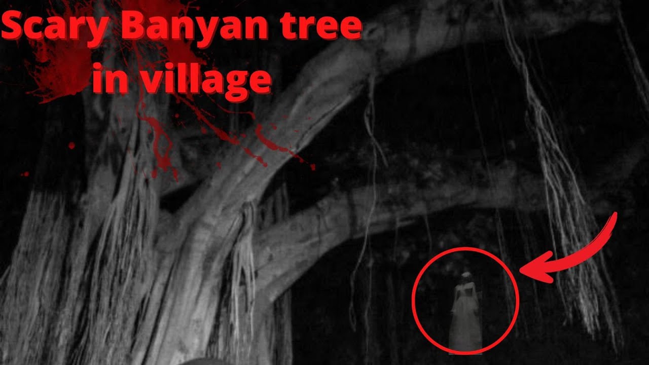 Terrifying Banyan Tree in a Village | Horror story 😰😰😰 - YouTube